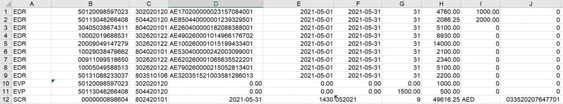 What is WPS in the UAE: All You Need To Know (2022 Edition)